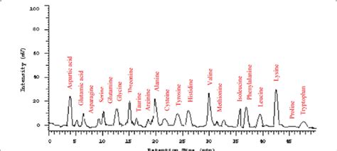 Peak Graphs Denoting The Amino Acids Quantified Using The Hplc Technique Download Scientific