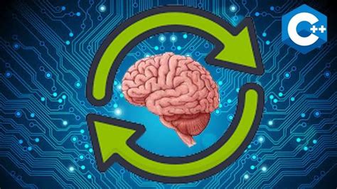 Learn C Loops Basics In 2 Hours