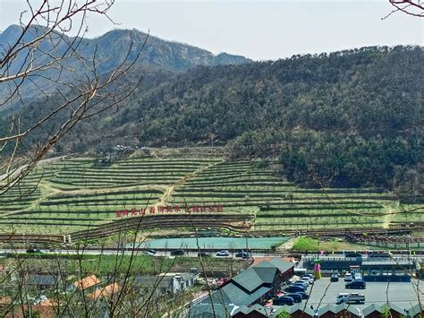 威海市审计局 审计风采 望得见山 看得见水 记得住乡愁