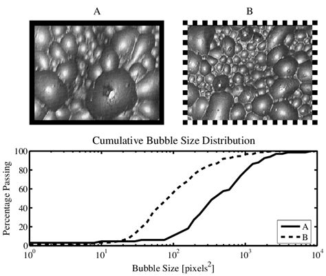 Bubble Size Distributions For Two Frames Of Steady State Copper Froth