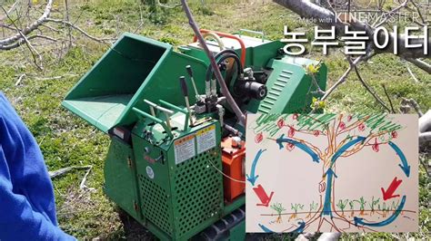 전지전정한 나뭇가지는 버리지 마세요 파쇄기계 시범 나무파쇄기 농기계 시범 교육 Youtube