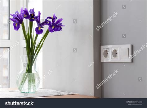 Switch Socket Stock Photos Images Photography Shutterstock