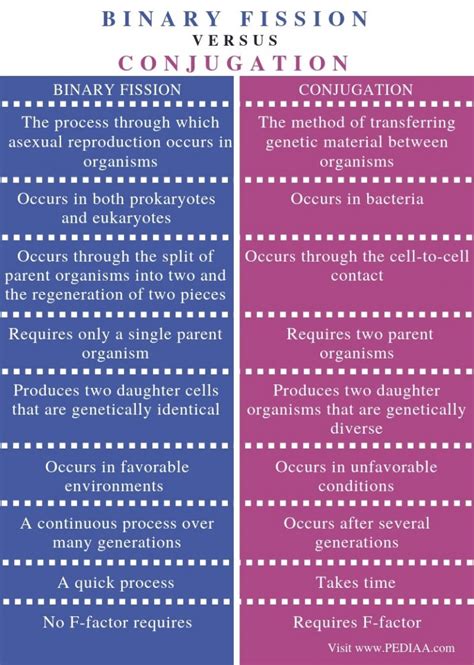 What Is The Difference Between Binary Fission And Conjugation Pediaa Com
