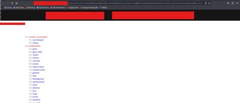 Ahmed Raza On Linkedin Cybersecurity Bugbounty Ethicalhacking