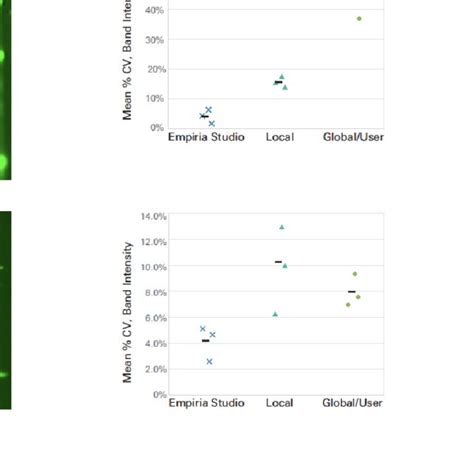 Quantitative Analysis With Adaptive Background Subtraction Abs Is Download Scientific Diagram