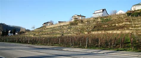 Top Photo Spots At Ehnen In 2024