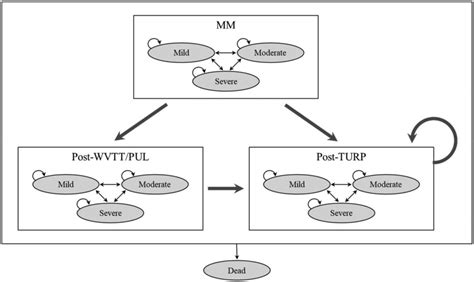 Markov State Transition Diagram Bph Severity States And The Dead State