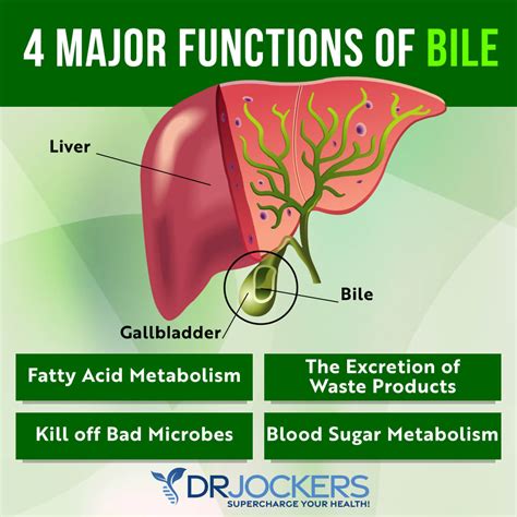 Functional Testing For Gallbladder Health