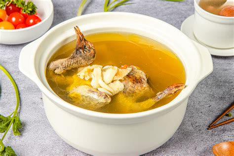 天麻鸽子汤图片素材 天麻鸽子汤设计素材 天麻鸽子汤摄影作品 天麻鸽子汤源文件下载 天麻鸽子汤图片素材下载 天麻鸽子汤背景素材 天麻鸽子汤模板