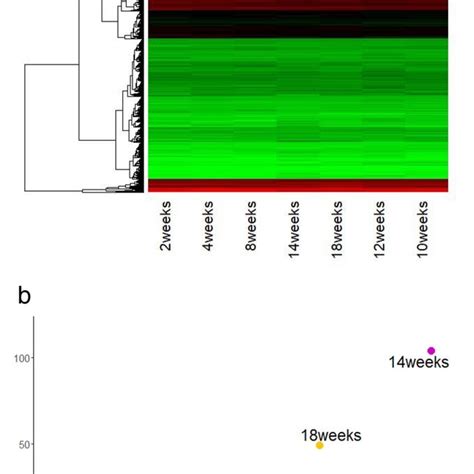 Age Dependent Gene Expression Profiles In Icr Lenses A Heatmap Of Download Scientific