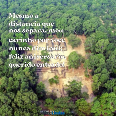 Mensagens De Aniversário Para Enteado Distante Celebre A Distância Com