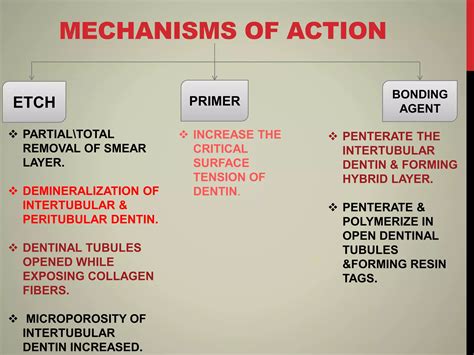 Dentin Bonding Agents Generations Pptx