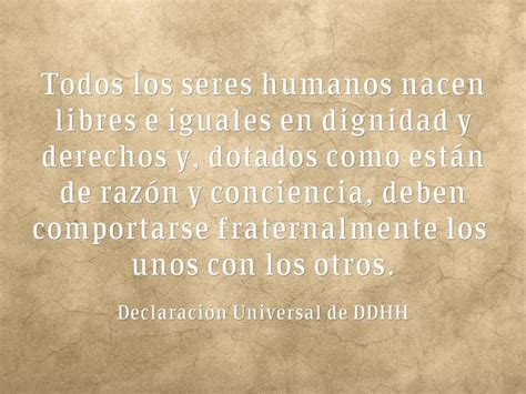Todos Los Seres Humanos Nacen Libres E Iguales En Dignidad Quozio