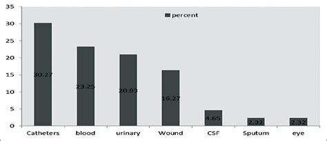 Molecular Identification Of Acinetobacter Baumannii Isolated Advanced Biomedical Research