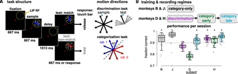 Motion Direction Discrimination And Categorization Tasks A In Both
