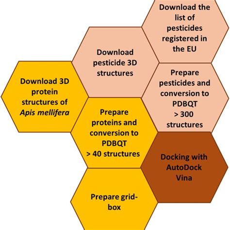 Different Preparation Steps Followed To Perform The Virtual Screening Download Scientific