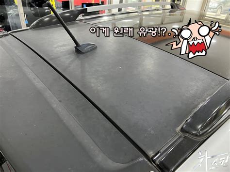 인천 루프스킨 제거재시공 상태가 안좋네요 네이버 블로그