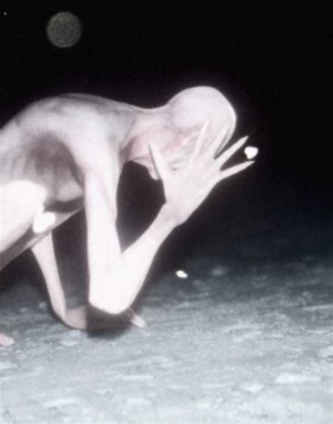 Scp 096 Containment Paranormal Amino