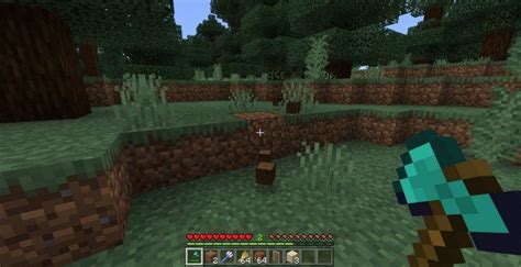 TreeCapitator Addon For Minecraft PE 1 21 23