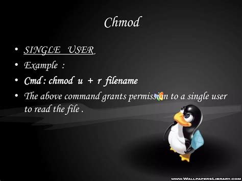 Filepermissions In Linux Pptx