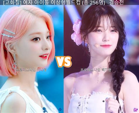 나도 막혔네 이상형 월드컵 연예인잡담 에펨코리아