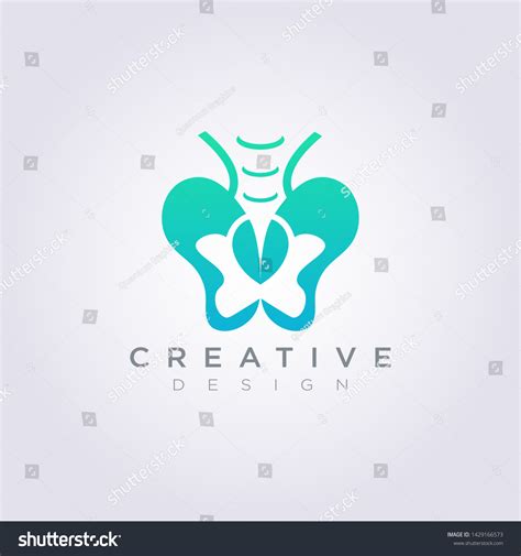 Pelvic Bone Vector Illustration Design Clipart Stock Vector Royalty