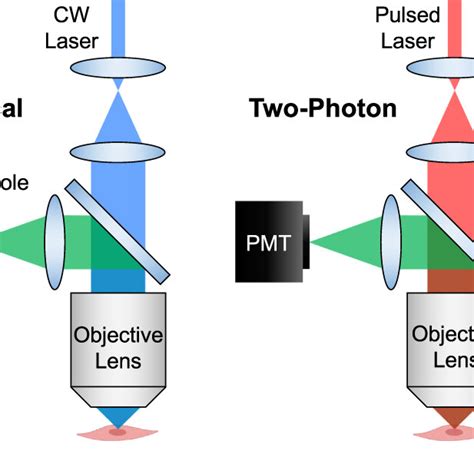 Schematics Of Wide Field Confocal Two Photon And Light Sheet