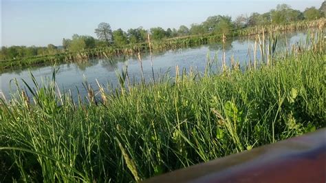 Утро природа пение птиц тишина и спокойствие где нет руzzкого мира Youtube