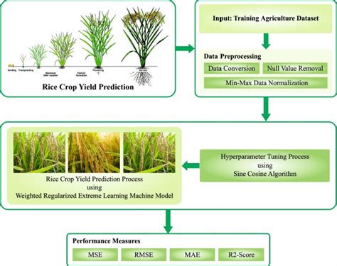 Figure 1 From Automated Rice Crop Yield Prediction Using Sine Cosine Algorithm With Weighted