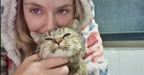 Video A Os Despu S Se Reencuentra Con Su Gatita Y El Momento Conmueve A Tiktok