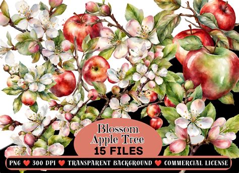Blossom Apple Tree Png Bundle Graphic By AnetArtStore Creative Fabrica