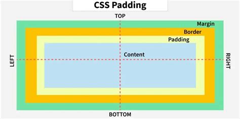 Css Padding Geeksforgeeks