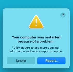 Solved Your Computer Was Restarted Because Of A Problem On Mac