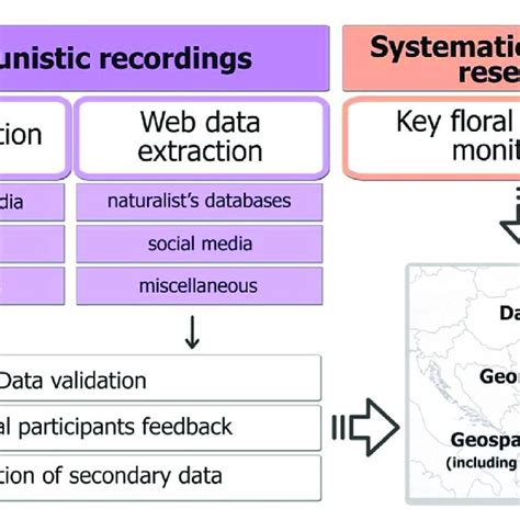 Workflow Diagram Showing Data Collection And Processing Scheme