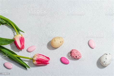 밝은 돌 콘크리트 배경에 부활절 달걀이 있는 분홍색 튤립 축제 개념 인사말 카드 개념에 대한 스톡 사진 및 기타 이미지 개념