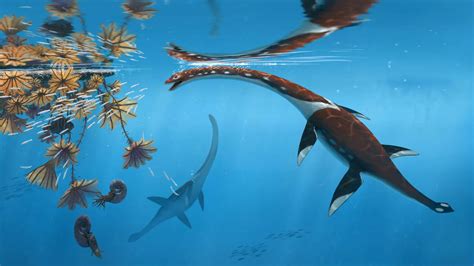 Scientists Reexamine 47 Year Old Fossil And Discover A New Jurassic Sea