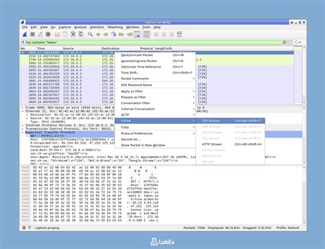 Analyze Tcp Traffic With Wireshark Follow Tcp Stream Feature Labex