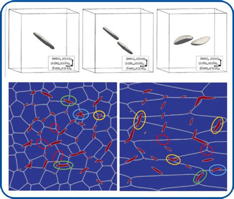 Research Tonks Research Group