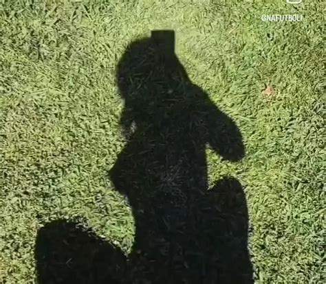 노브라 상탈 그림자 눈나 엽기자랑 와이고수