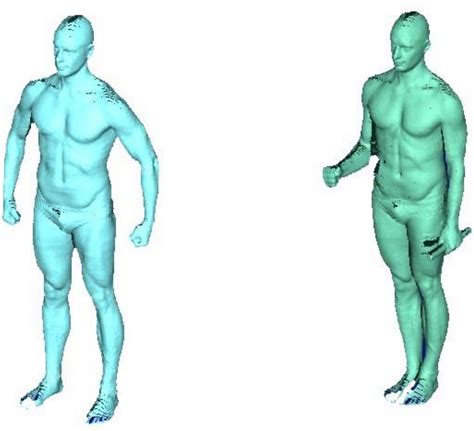 Typical Standing Upright Positions With Fixed Points Based On Download Scientific Diagram