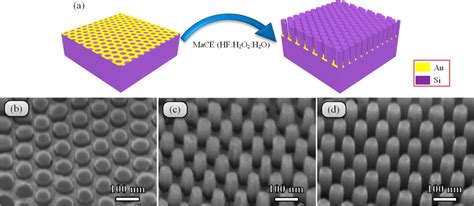 A Schematic Diagram For The Fabrication Of Si Nanowire Array By Using Download Scientific