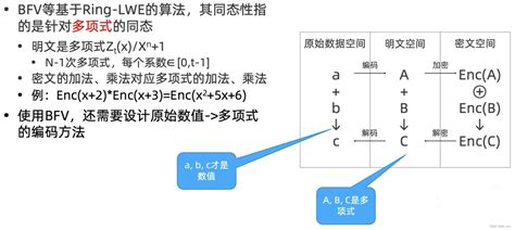 【密码学基础】半 全同态加密算法基础学习笔记 bfv算法 csdn博客