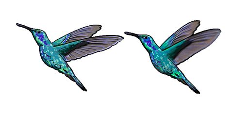 hummingbird animated cursor cool animated cursor sweezy cursors