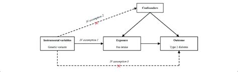 Causal Diagram The Causal Diagram For Mendelian Randomization Mr