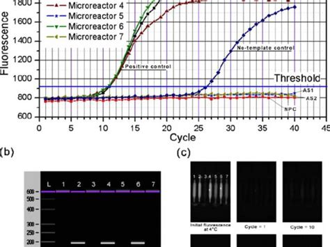 No Template Control No Template Control Gallery Template Design Ideas Williamson