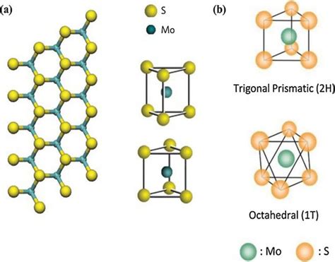 Applications Of Molybdenum Disulfide Powder In Lubrication Technology Refractory Molybdenum