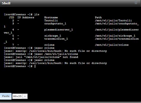 How Would You Run A Daily Cron Job Inside A Jail Rfreenas