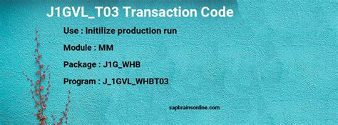 J GVL T SAP Tcode For Initilize Production Run