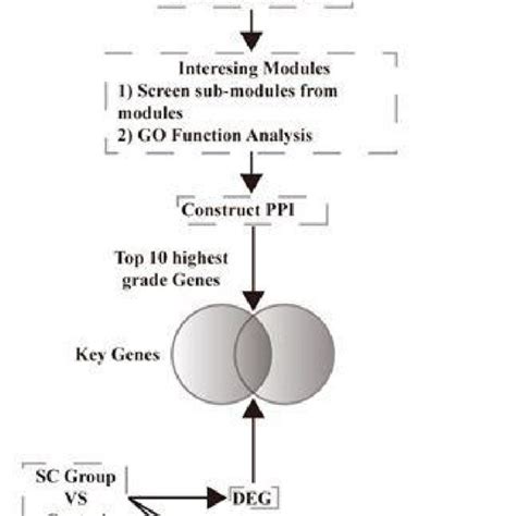 Workflow Used For Bioinformatics Analyses Download Scientific Diagram