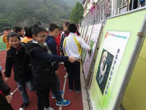 【未成教育】“爱心在行动中成长” ——记泮野中心小学关爱外来务工子女之心理辅导活动